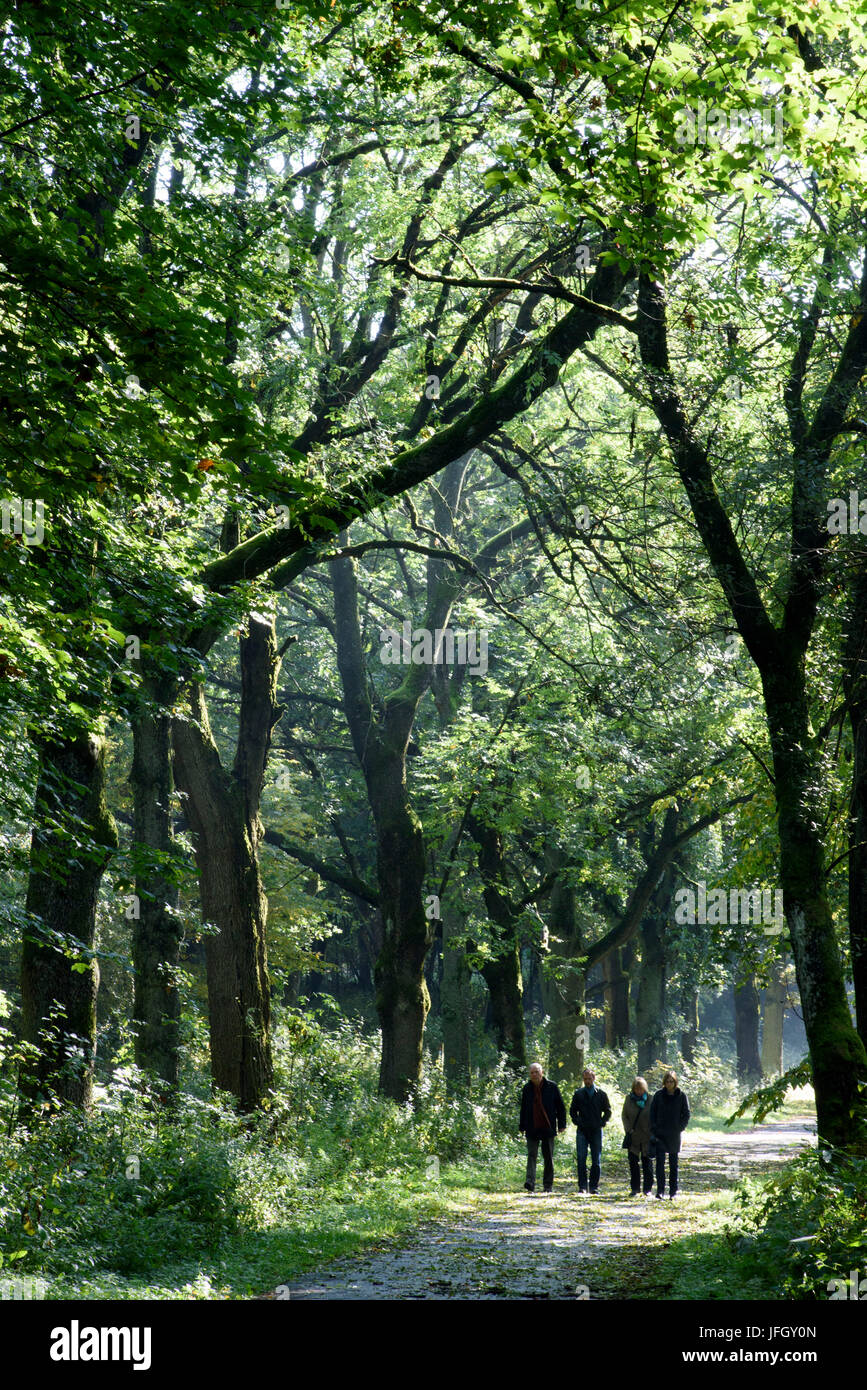 Habichtswald hi-res stock photography and images - Alamy