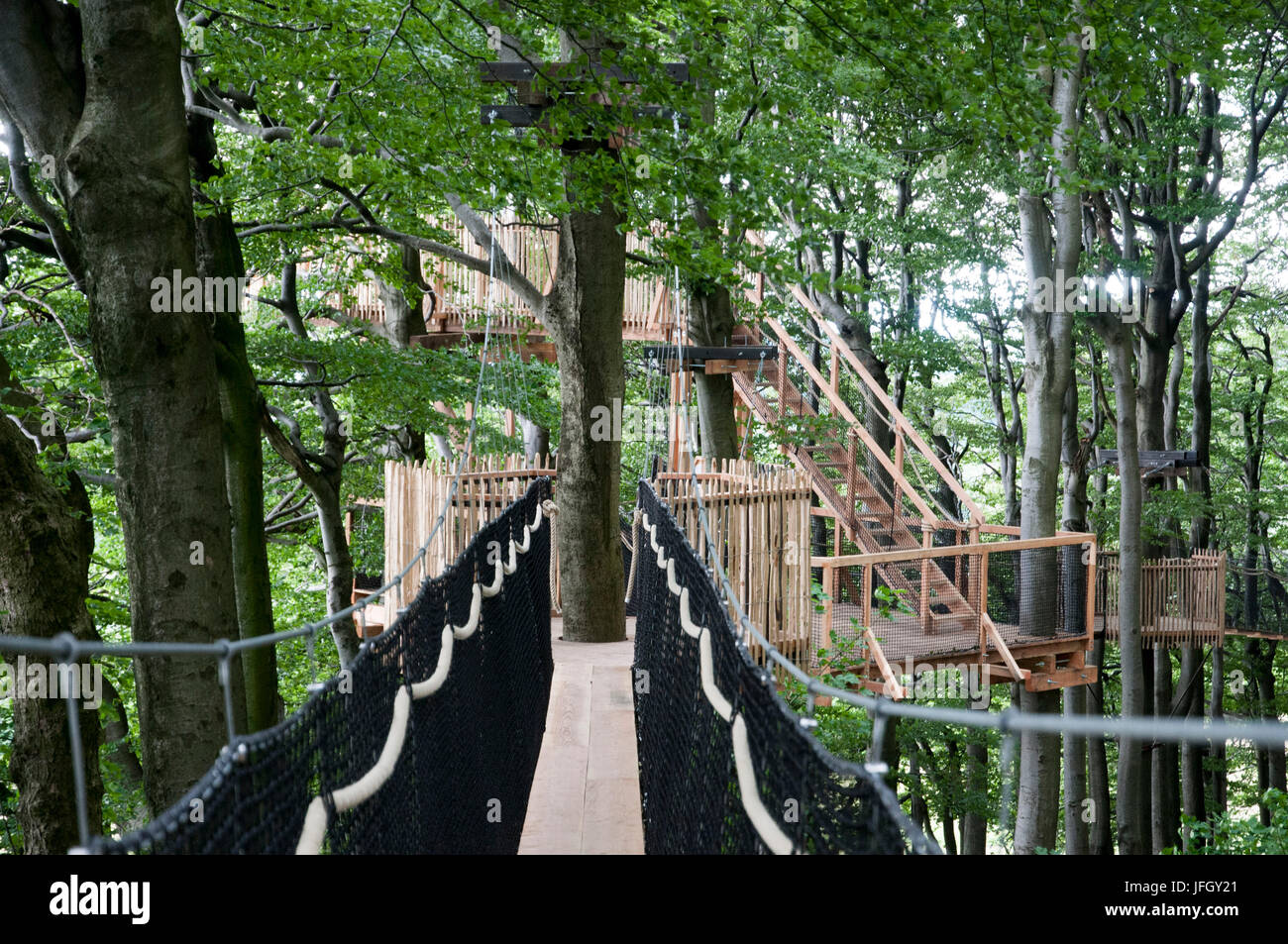 Tree top path in the hoherodskopf hi-res stock photography and images ...