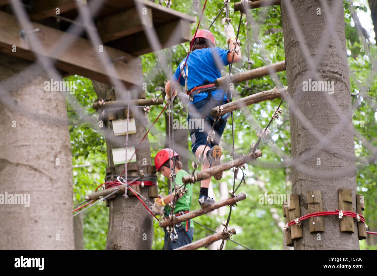 Climbing wood in the hoherodskopf hi-res stock photography and images ...