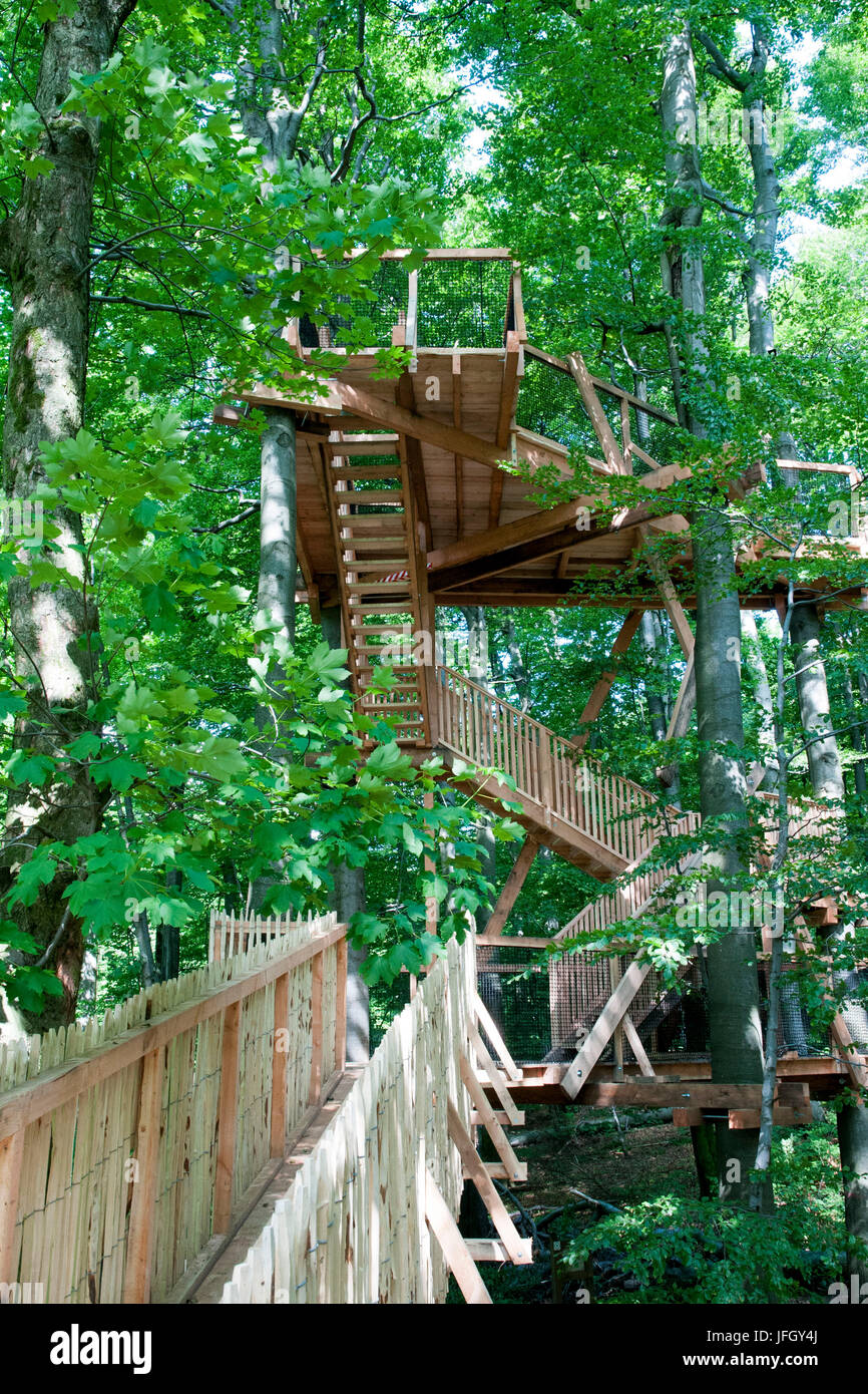 Tree top path hi-res stock photography and images - Alamy
