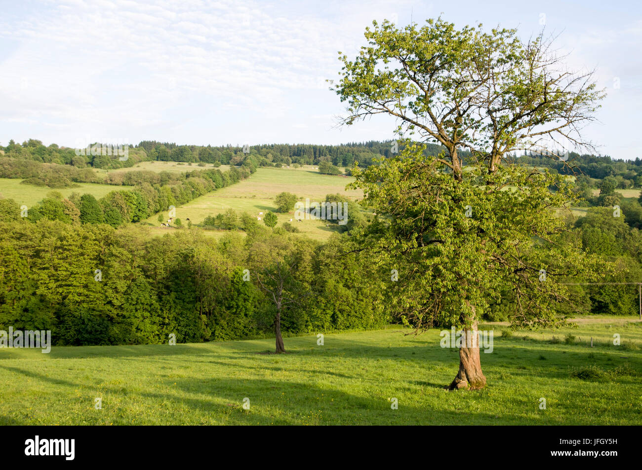 Scenery Vogelsberg, Hessen, Germany Stock Photo - Alamy
