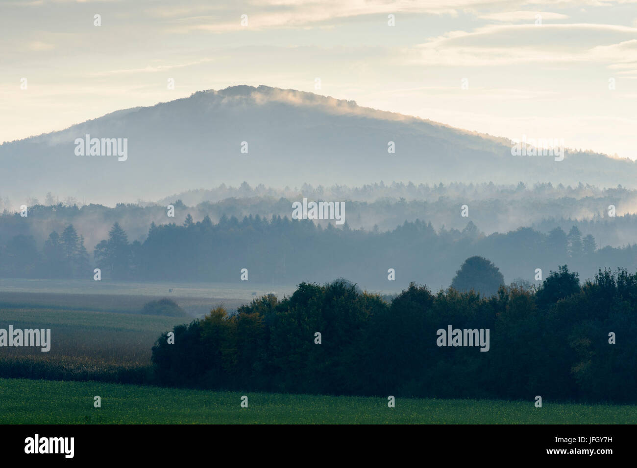 Habichtswald hi-res stock photography and images - Alamy