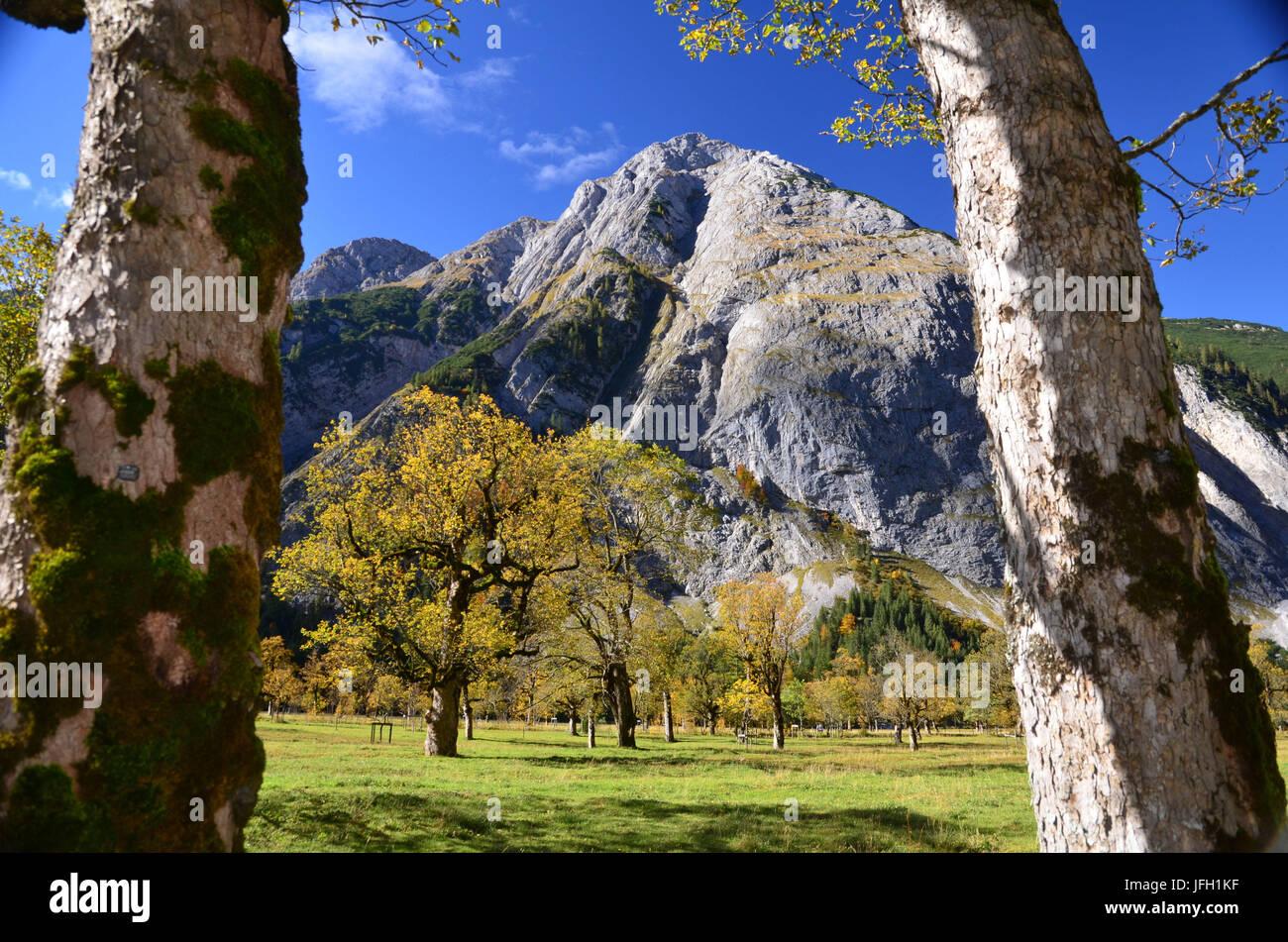 Austria, Tyrol, Eng-Alm (alp), autumn Stock Photo - Alamy