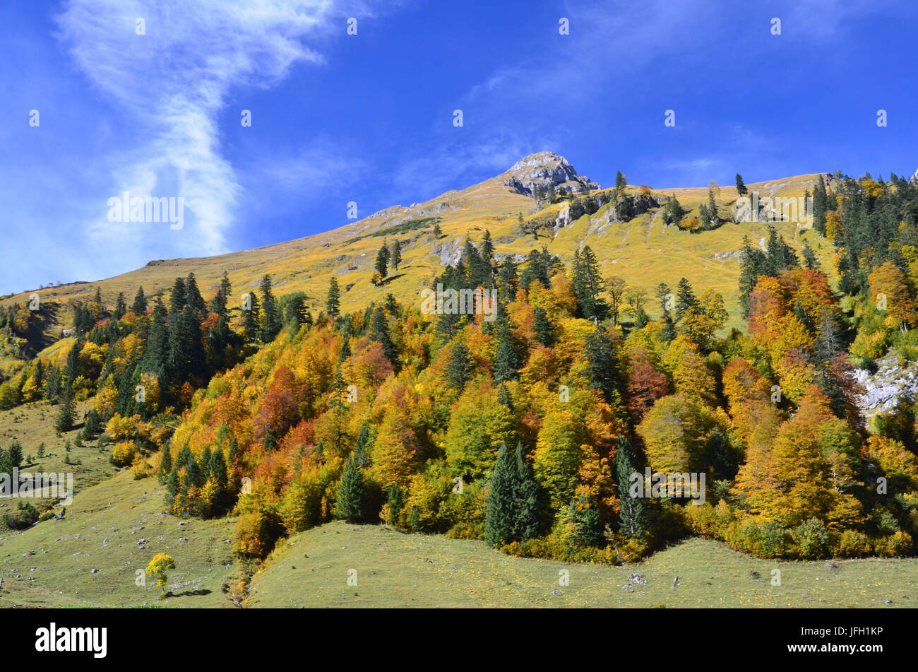 Austria, Tyrol, Eng-Alm (alp), autumn Stock Photo - Alamy