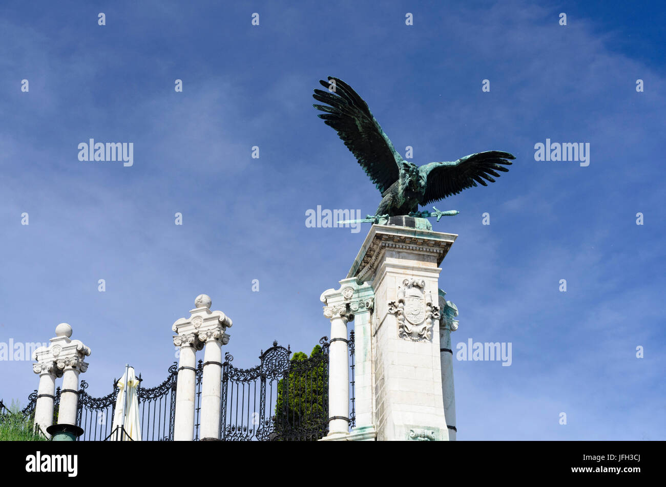 Turul vogel hi-res stock photography and images - Alamy