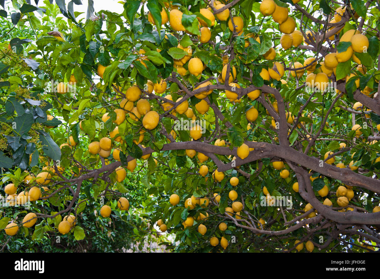 Italy, the Mediterranean Sea, Sicily, Aeolian islands, the Lipari ...