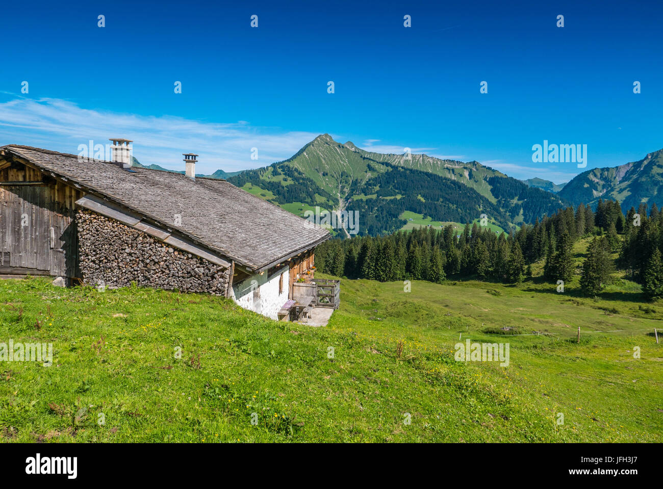 Alp steris hi-res stock photography and images - Alamy