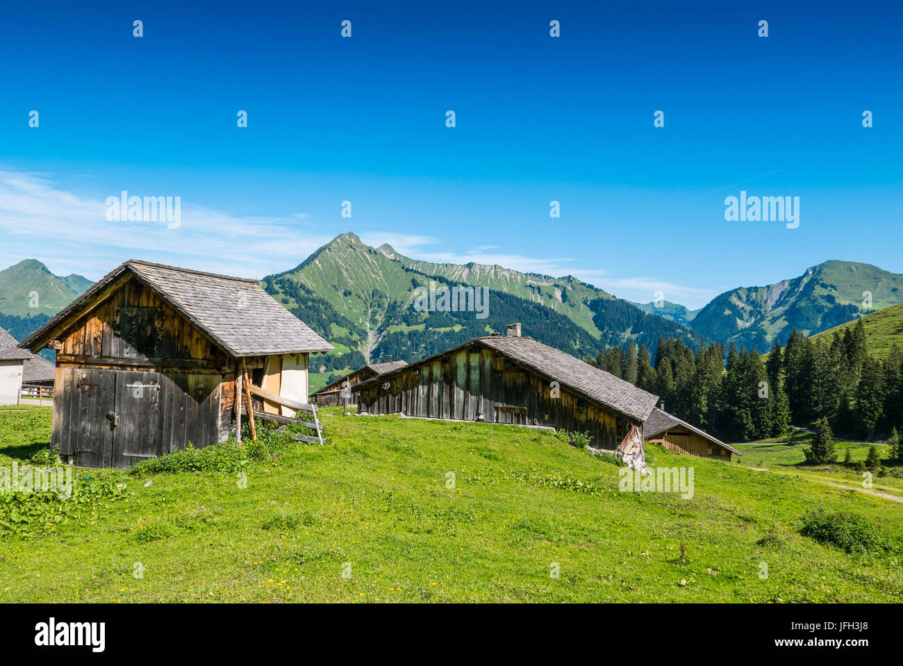 Marul hi-res stock photography and images - Alamy
