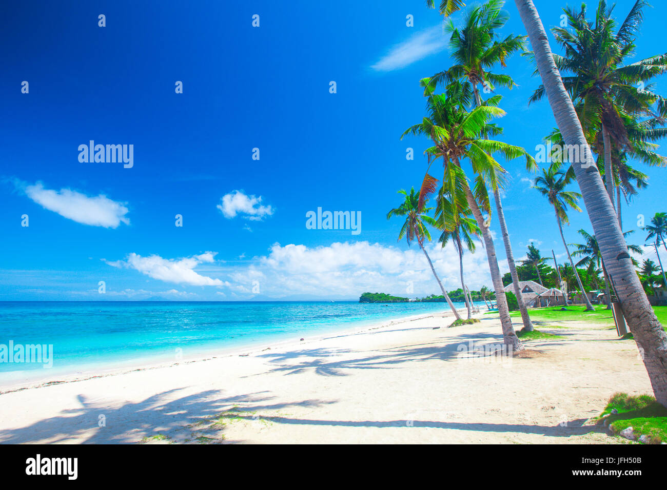 panoramic tropical beach with coconut palm Stock Photo - Alamy