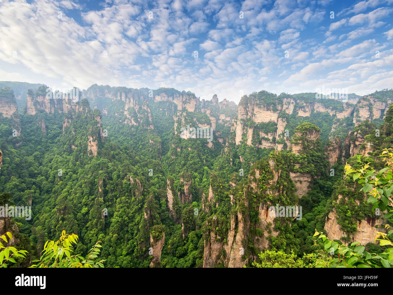 karst pillars at wulingyuan national park zhangjiajie hunan province ...