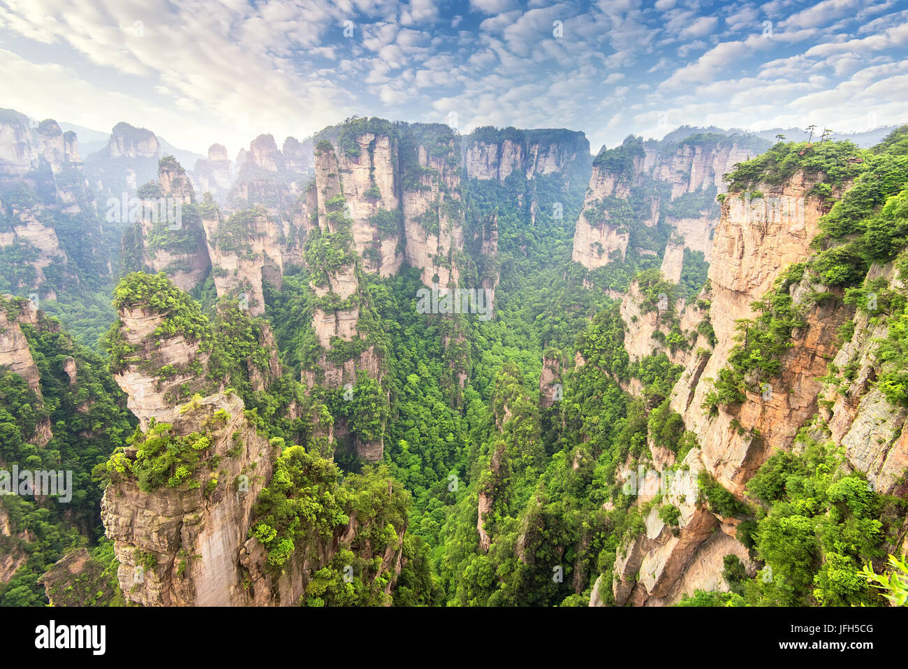 karst pillars at wulingyuan national park zhangjiajie hunan province ...