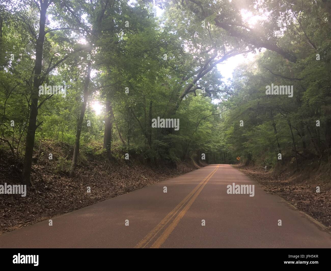 Overarching tree hi-res stock photography and images - Alamy