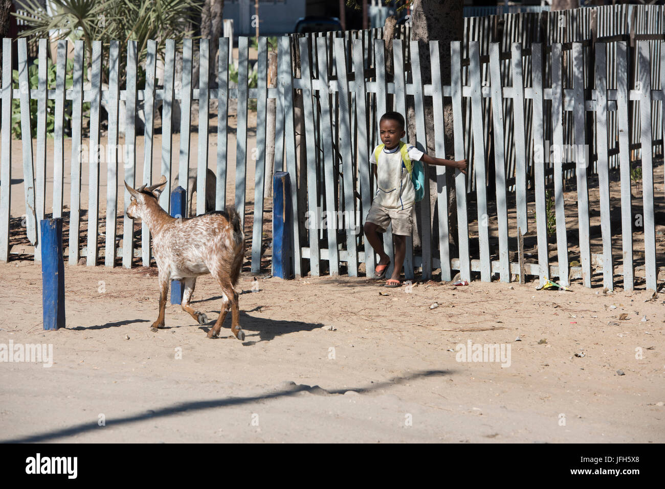 Children scared of animals hi-res stock photography and images - Alamy