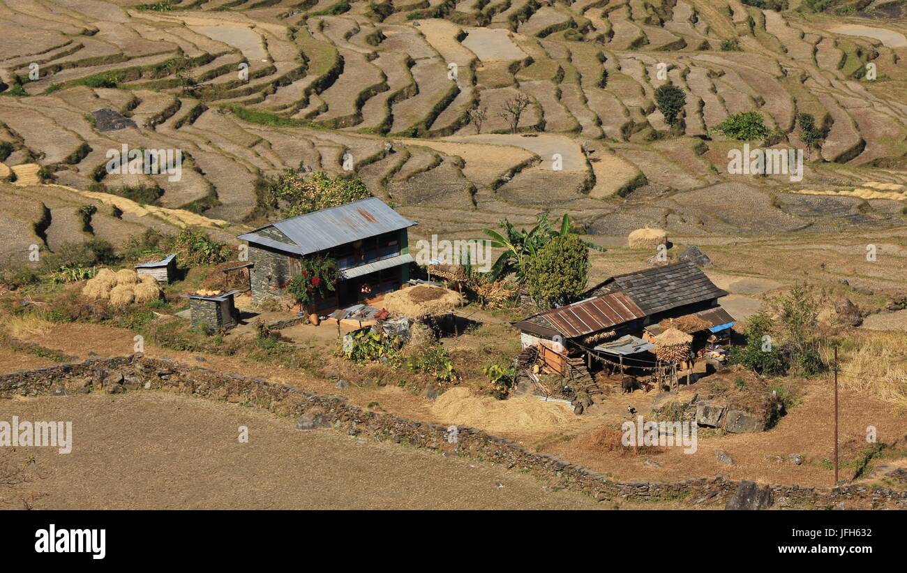 Farmhouse and rice terraces Stock Photo - Alamy