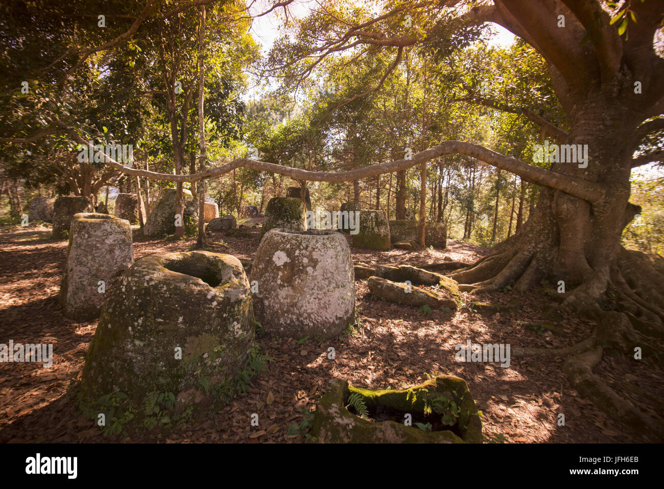 LAO PHONSAVAN PLAIN OF JARS Stock Photo - Alamy