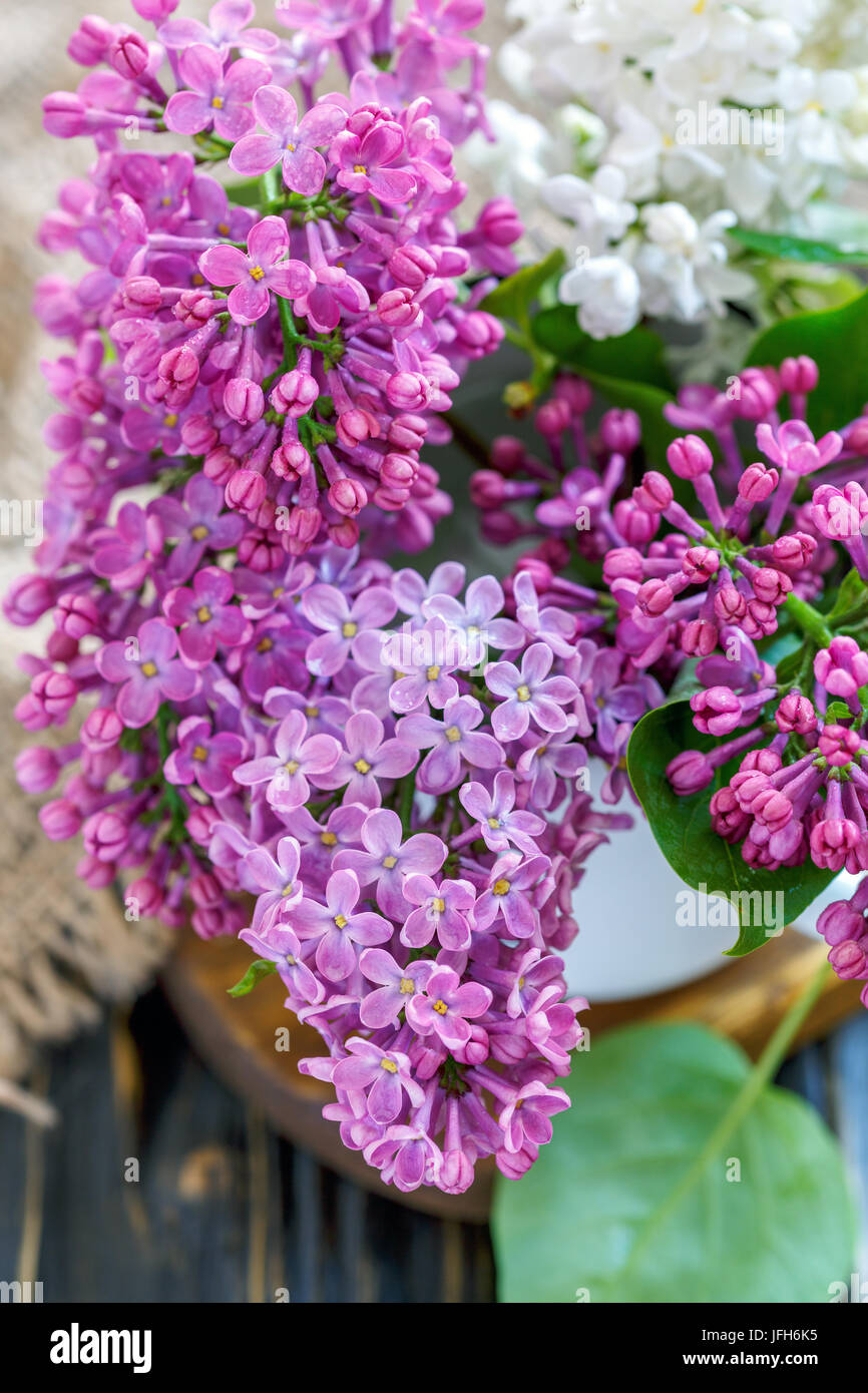 Closeup white lilac syringa hi-res stock photography and images - Alamy