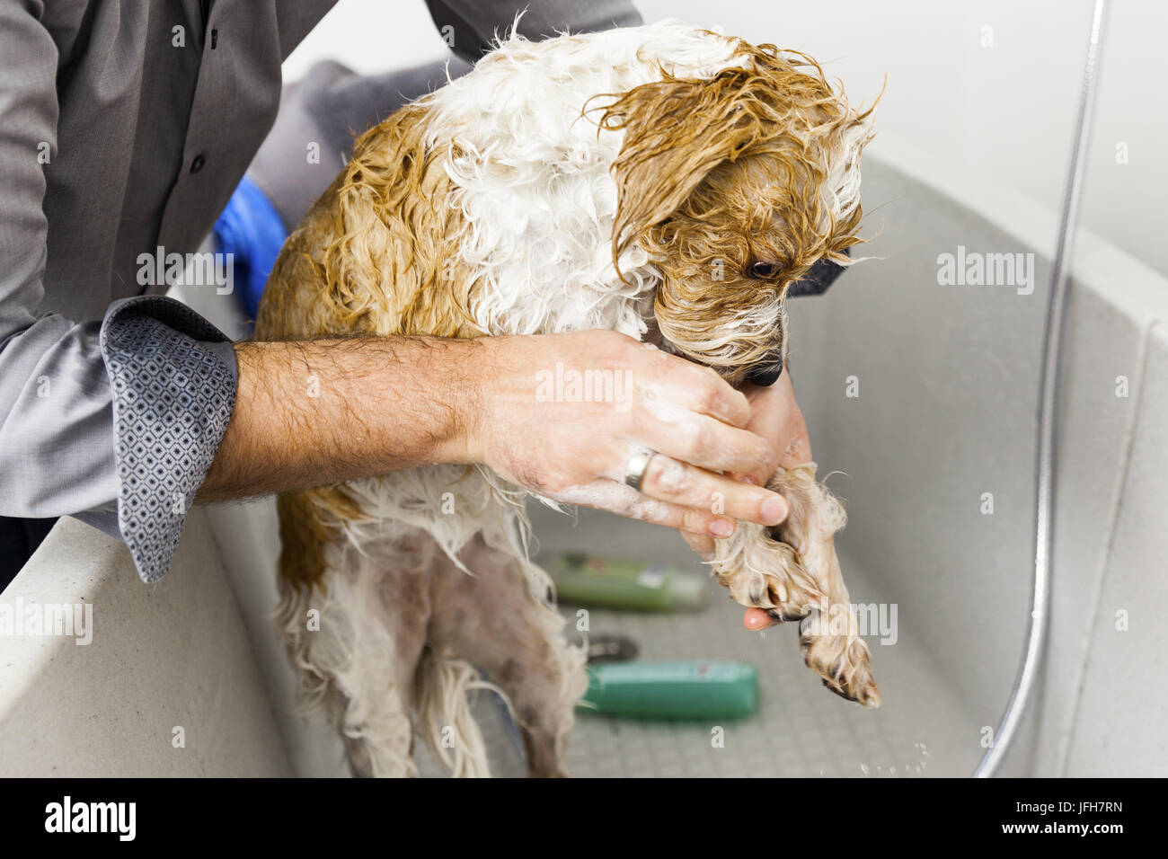 Bathing water hand hi-res stock photography and images - Alamy