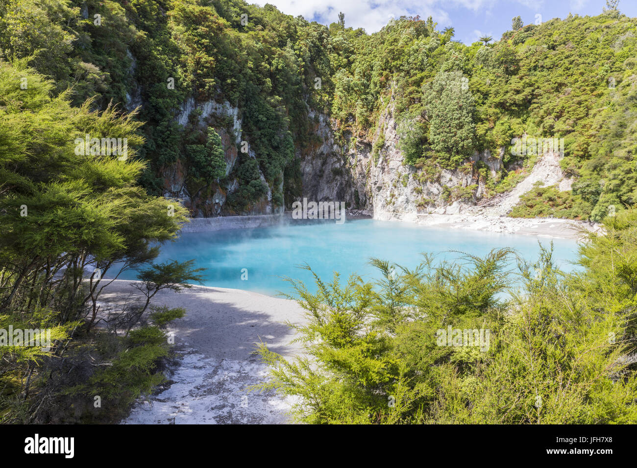 volcanic lake at waimangu Stock Photo - Alamy