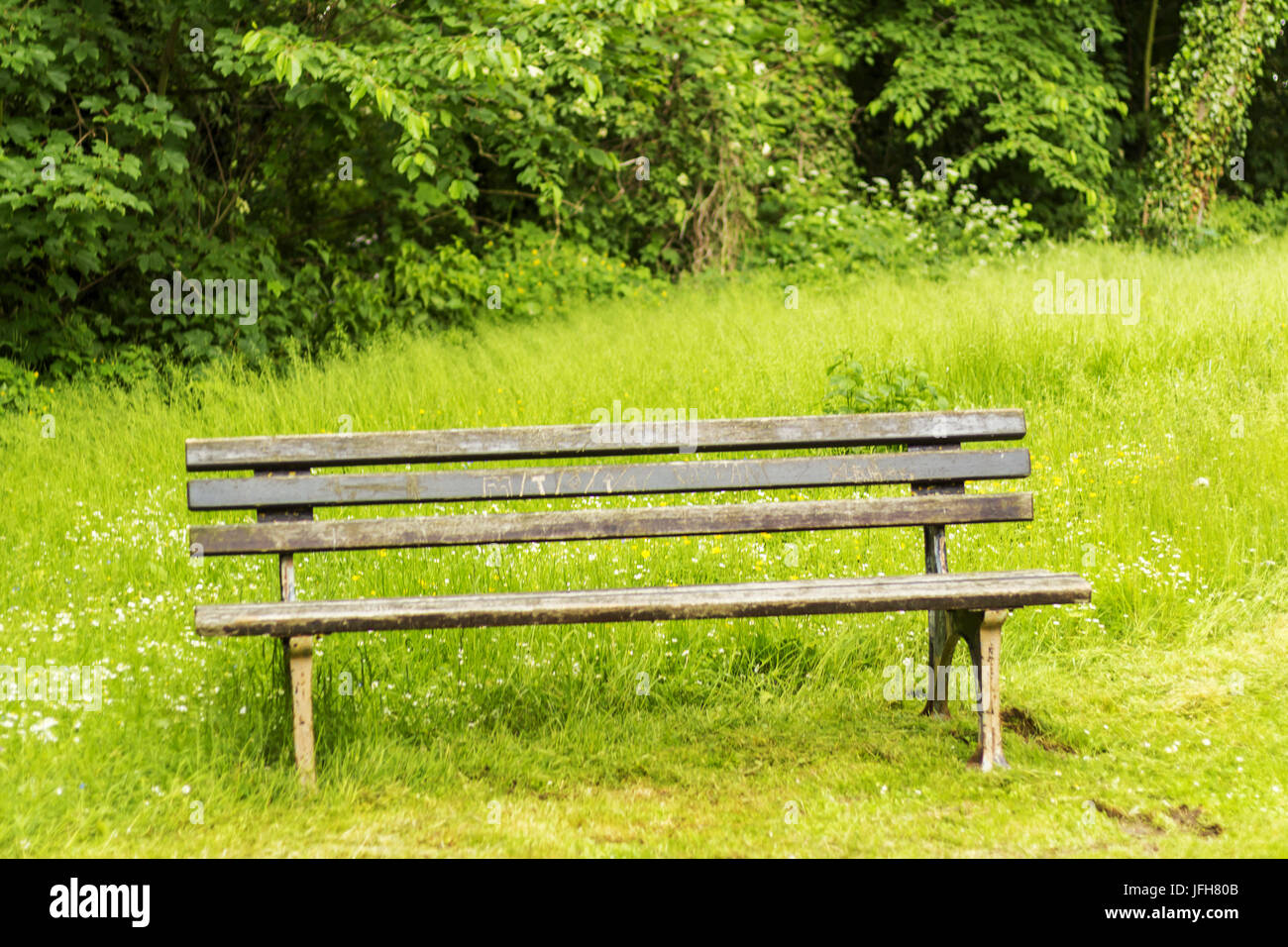 Single park bench in the summer Stock Photo - Alamy