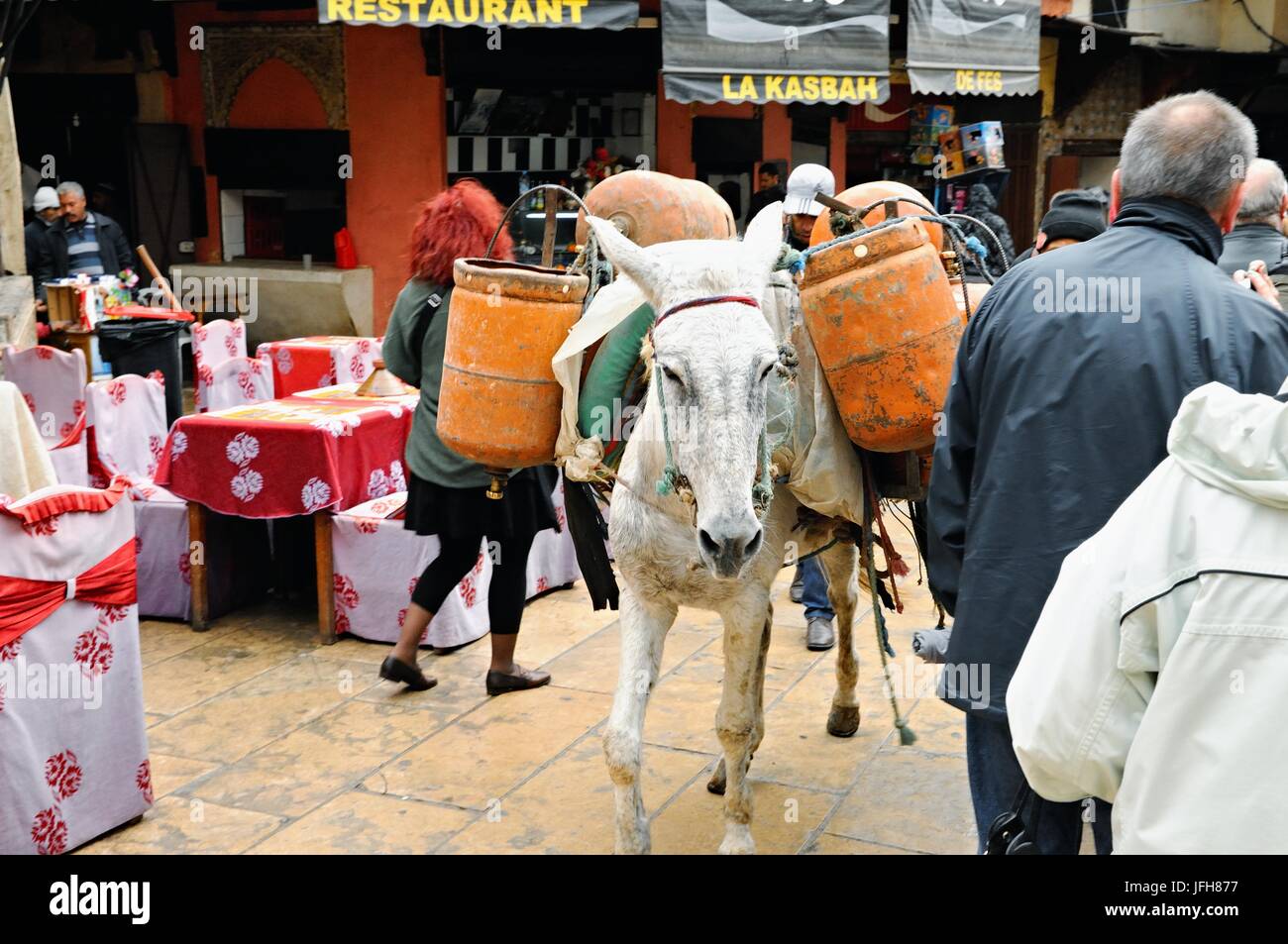 Transport with animal in Fez Morocco Stock Photo - Alamy