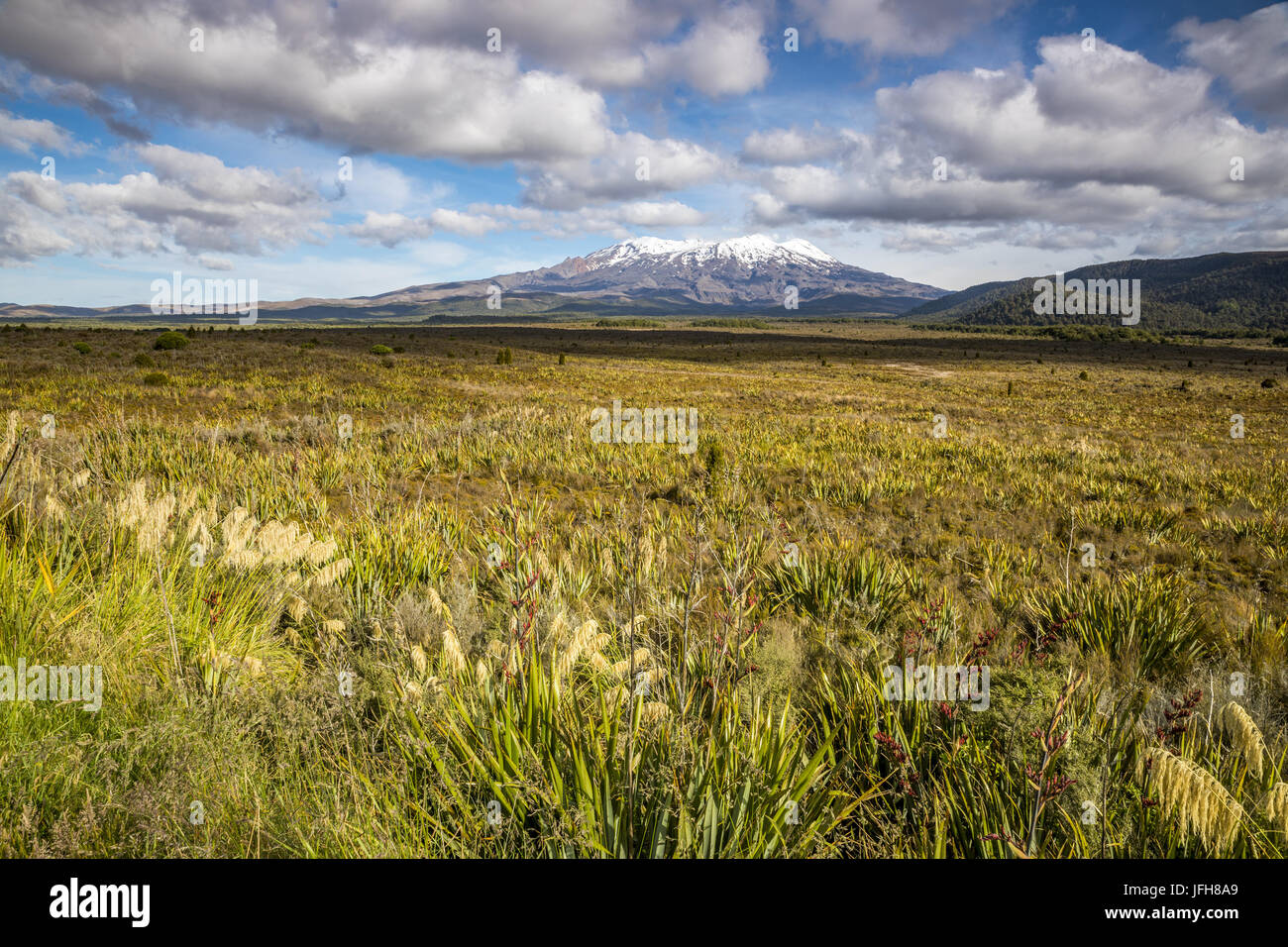 Mount Ruapehu volcano in New Zealand Stock Photo - Alamy