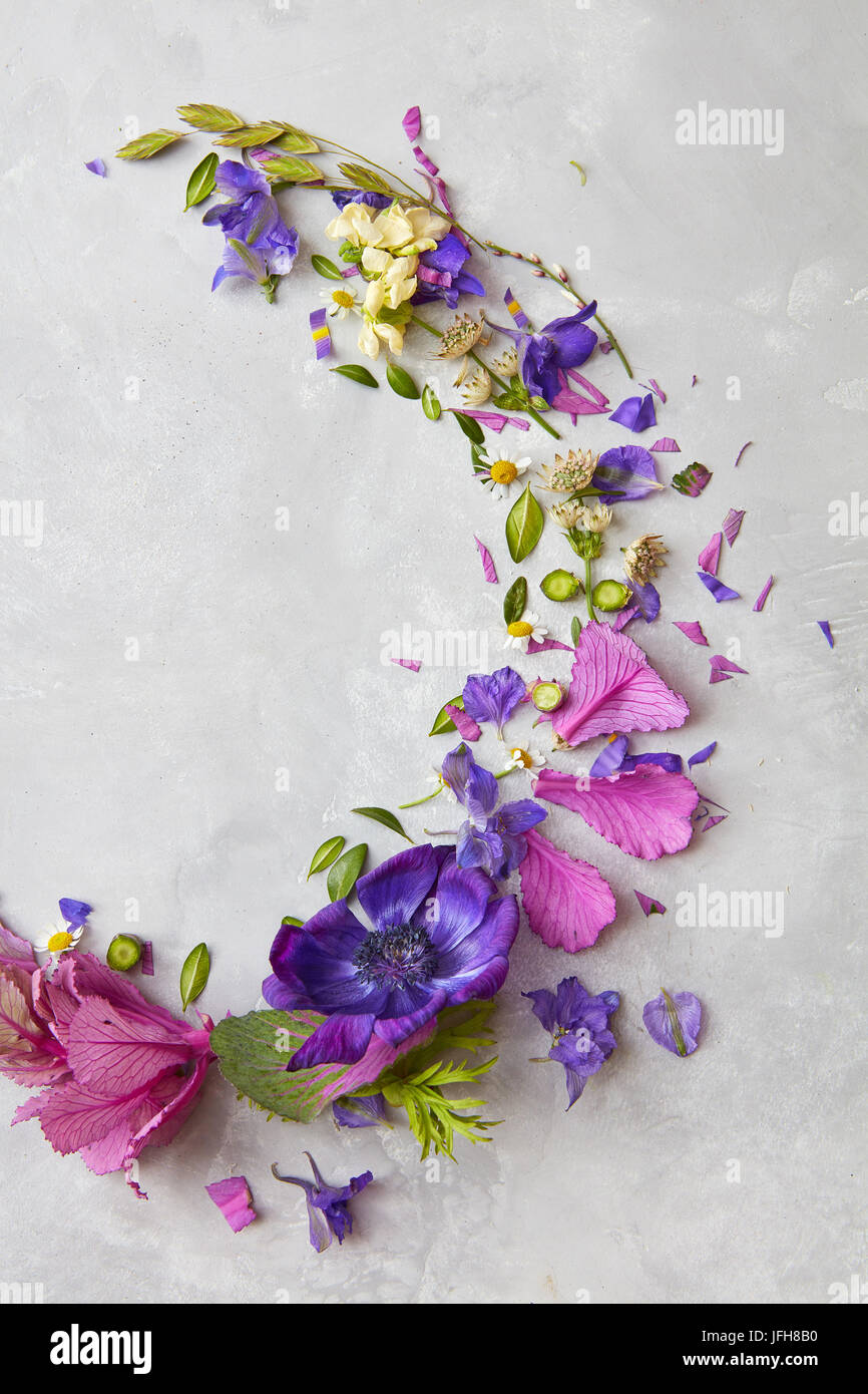 Composition of flowers on grey background Stock Photo - Alamy
