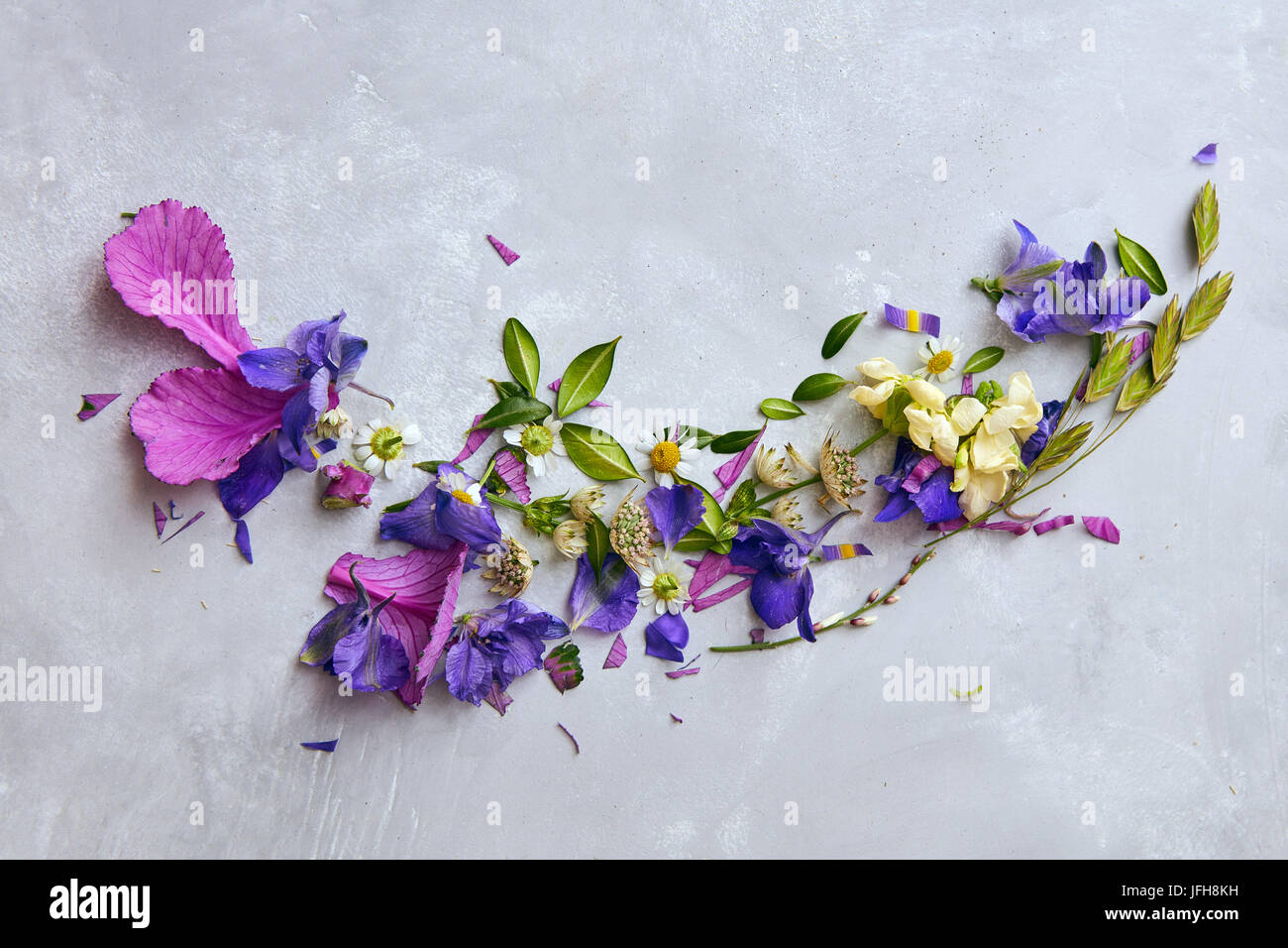 Composition of flowers on grey background Stock Photo - Alamy