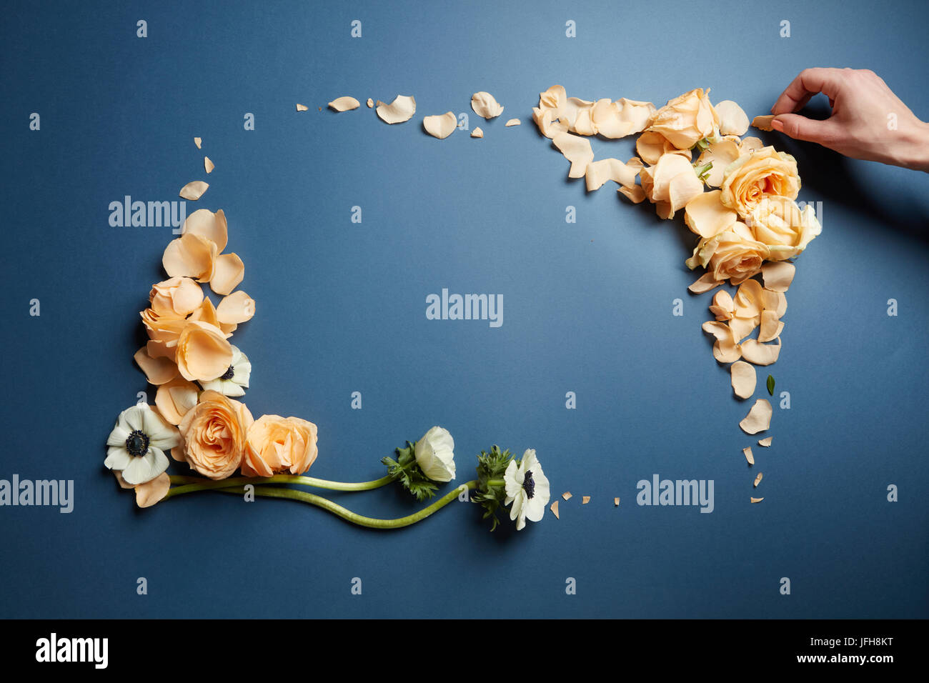 frame of flowers Stock Photo - Alamy