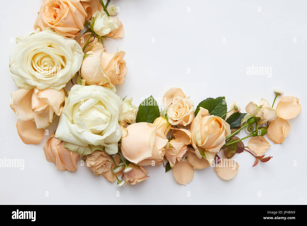 roses and leaves Stock Photo - Alamy