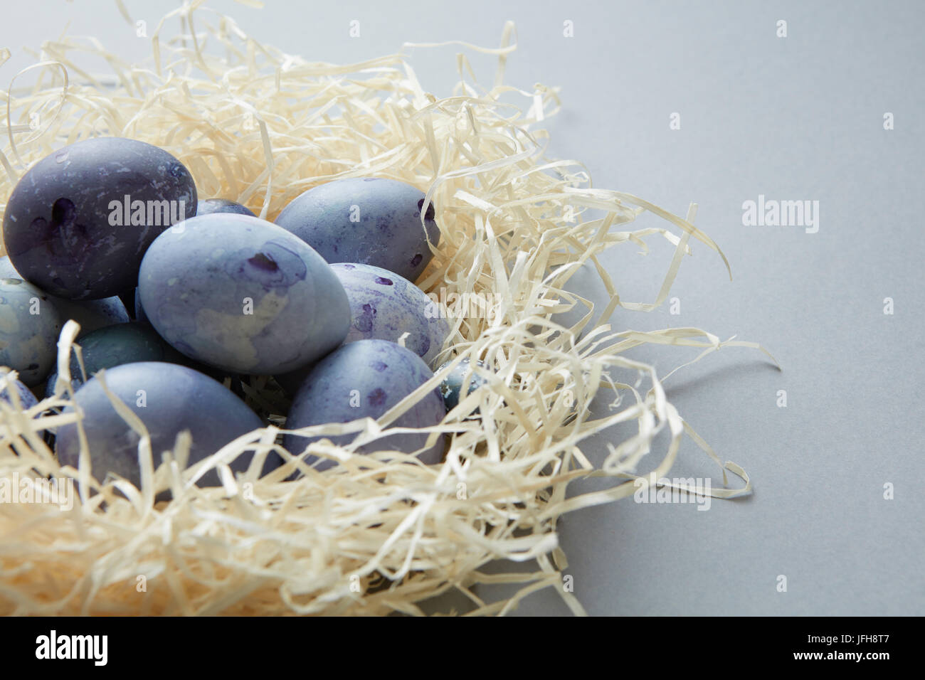 Blue eggs in nest Stock Photo - Alamy