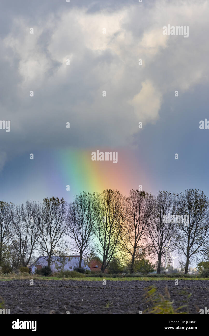 Wide horns hi-res stock photography and images - Alamy