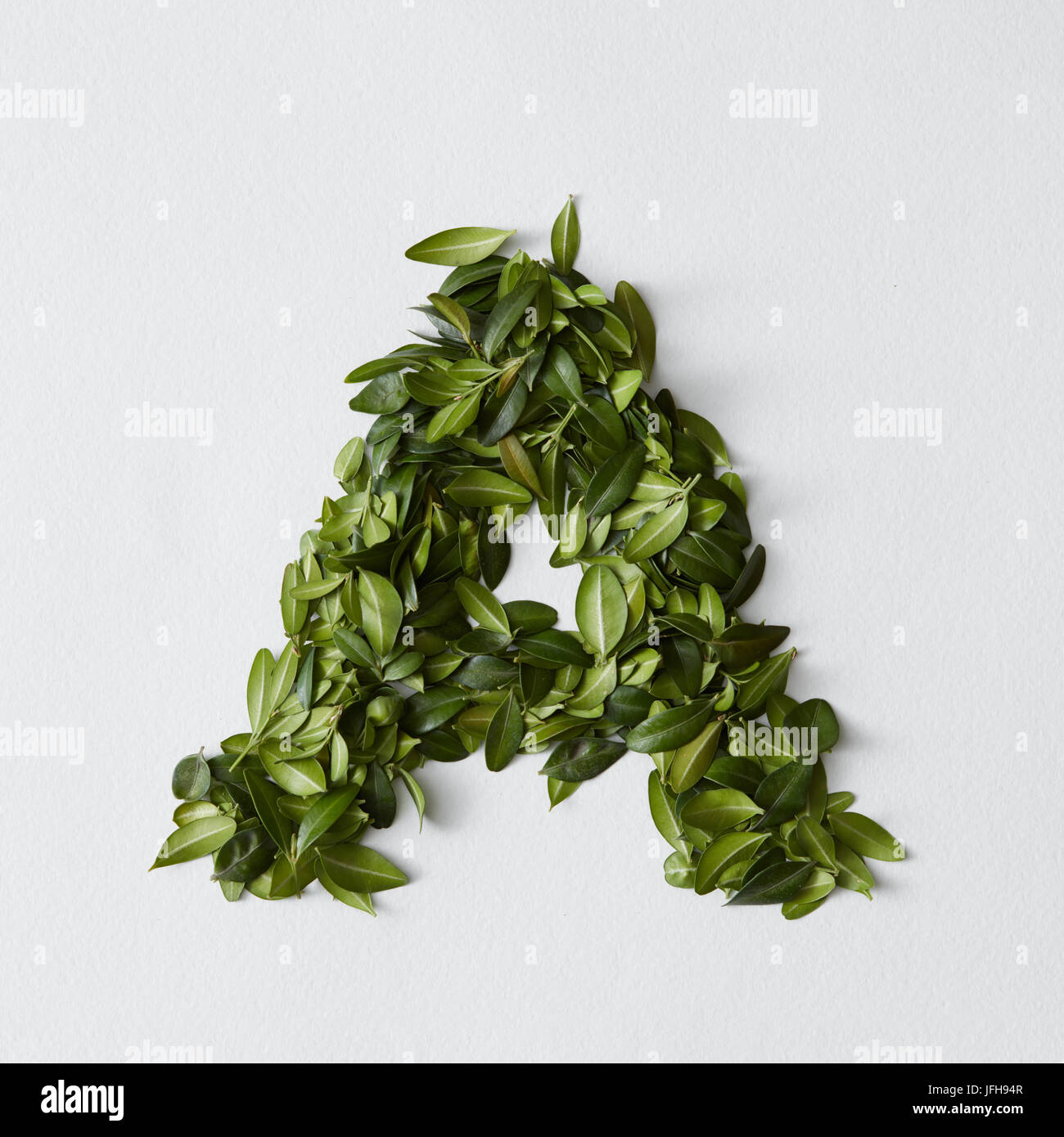 Alphabet letters from leaves Stock Photo - Alamy
