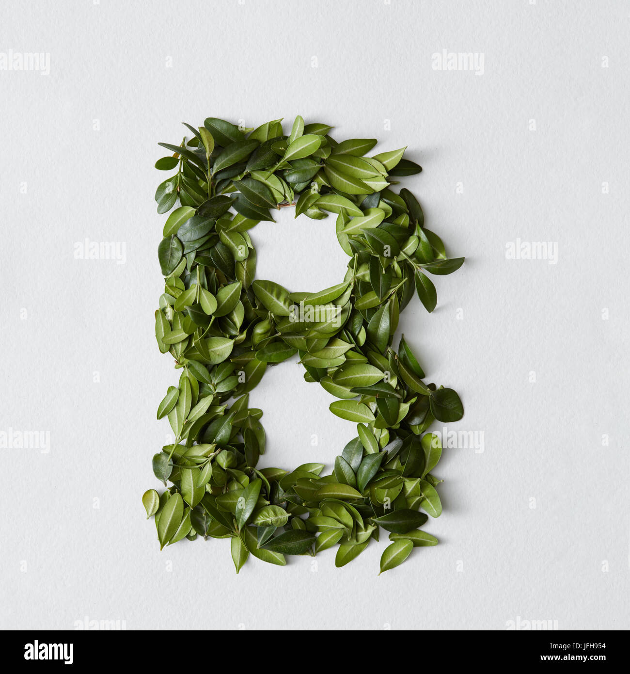 Alphabet letters from leaves Stock Photo - Alamy