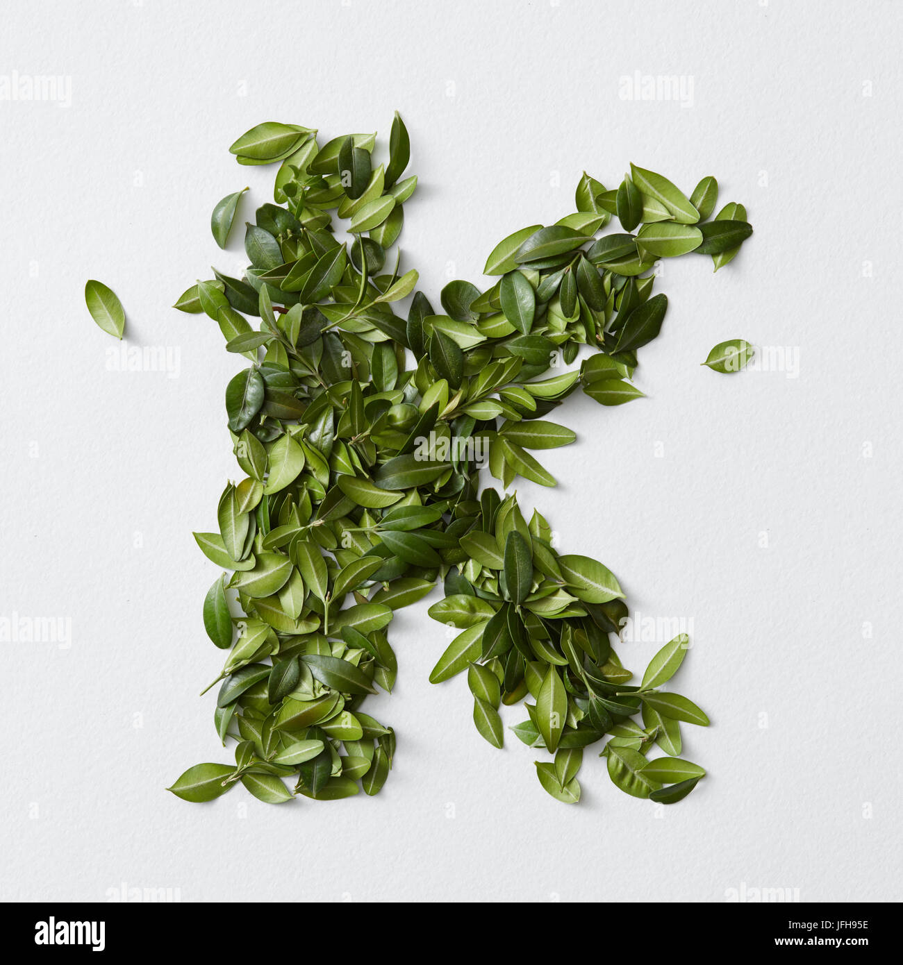 Alphabet letters from leaves Stock Photo - Alamy