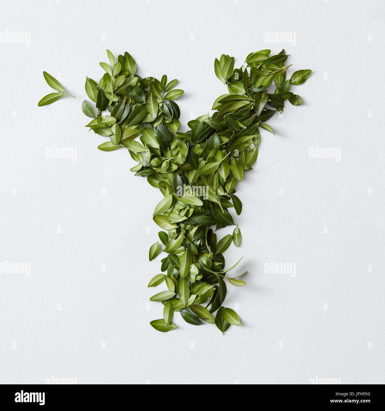 Green leaves ecology letter alphabet hi-res stock photography and ...