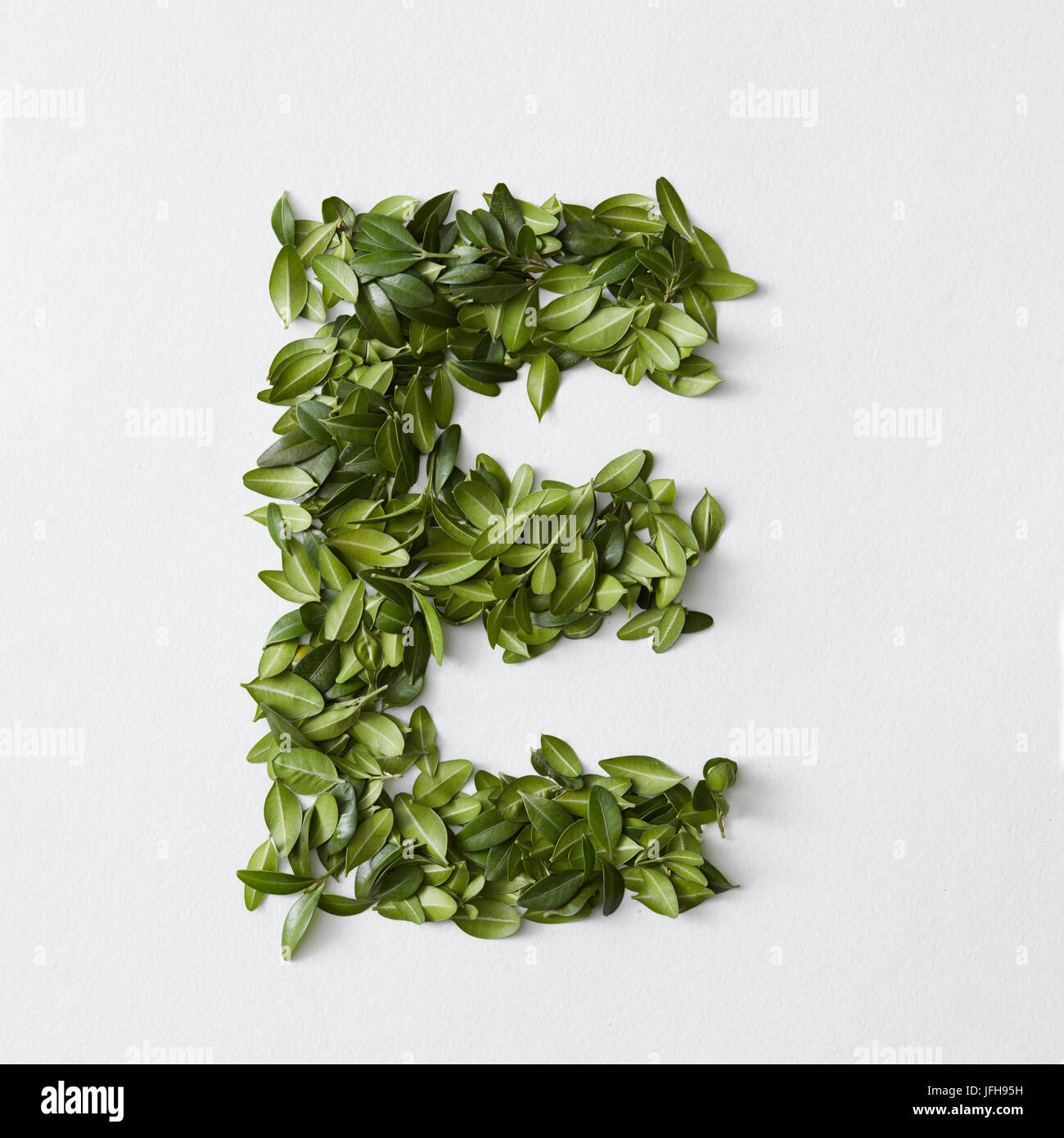 Alphabet letters from leaves Stock Photo - Alamy