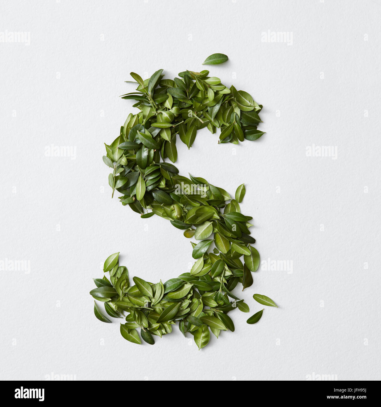 Alphabet letters from leaves Stock Photo - Alamy