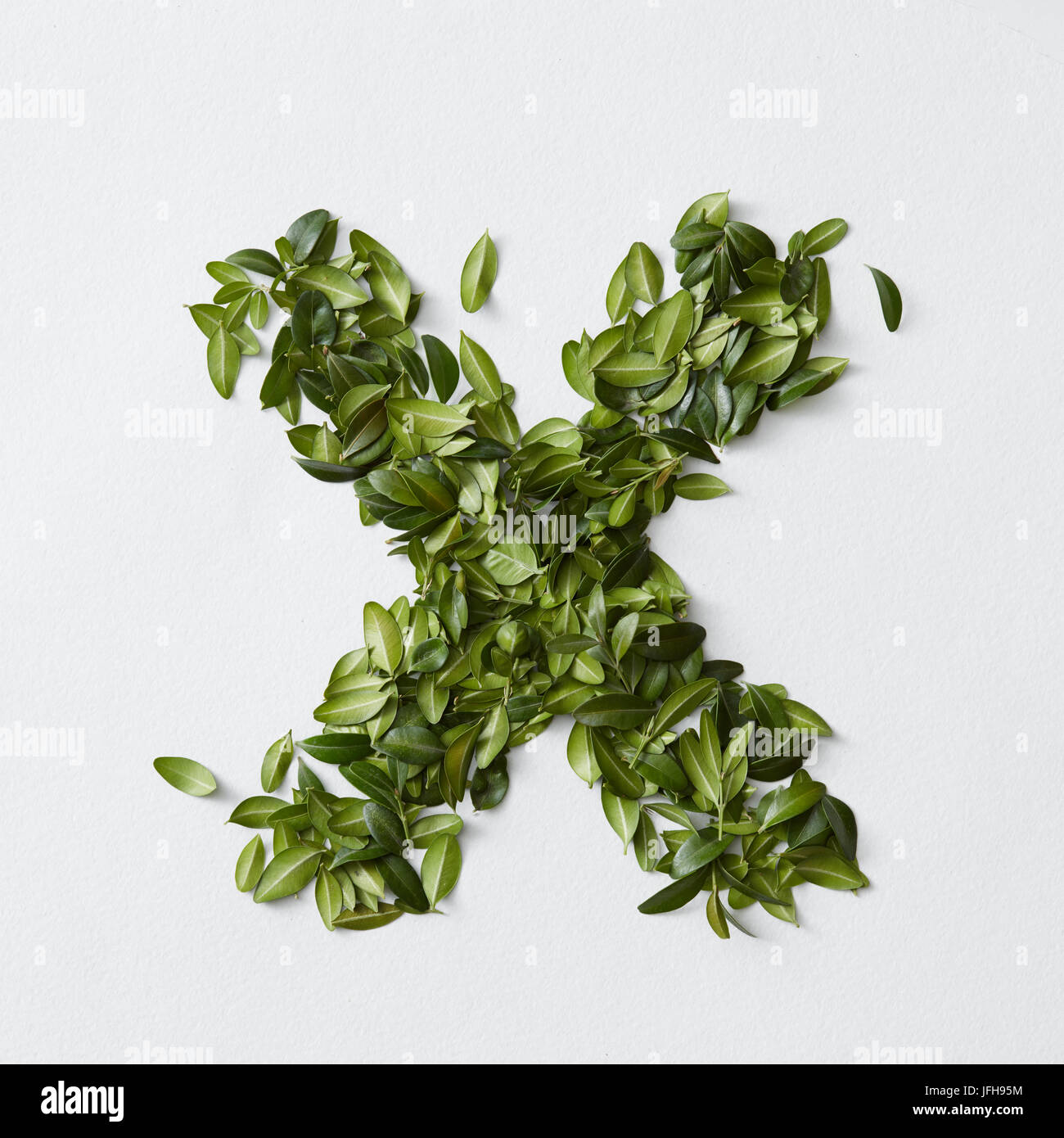 Alphabet letters from leaves Stock Photo - Alamy