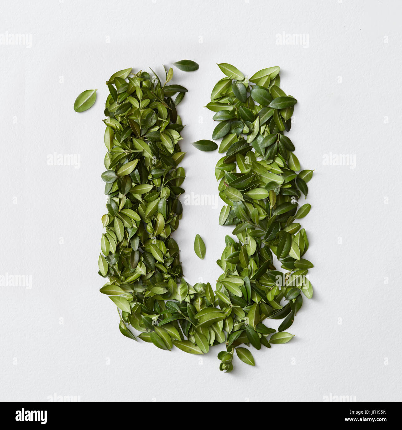 Alphabet letters from leaves Stock Photo - Alamy