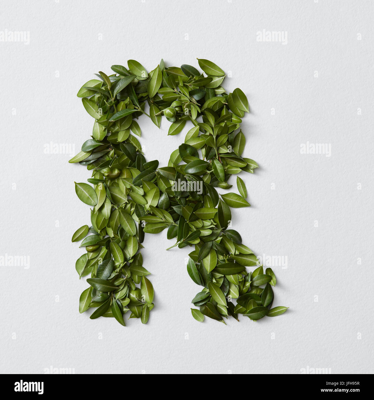 Alphabet letters from leaves Stock Photo - Alamy