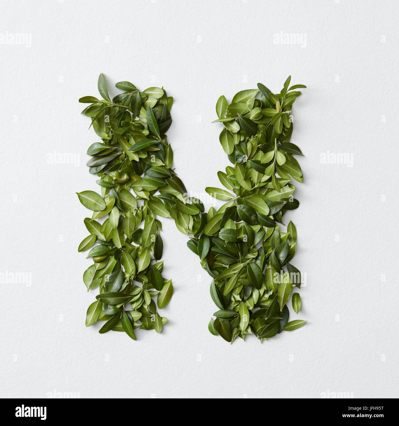 Alphabet letters from leaves Stock Photo - Alamy