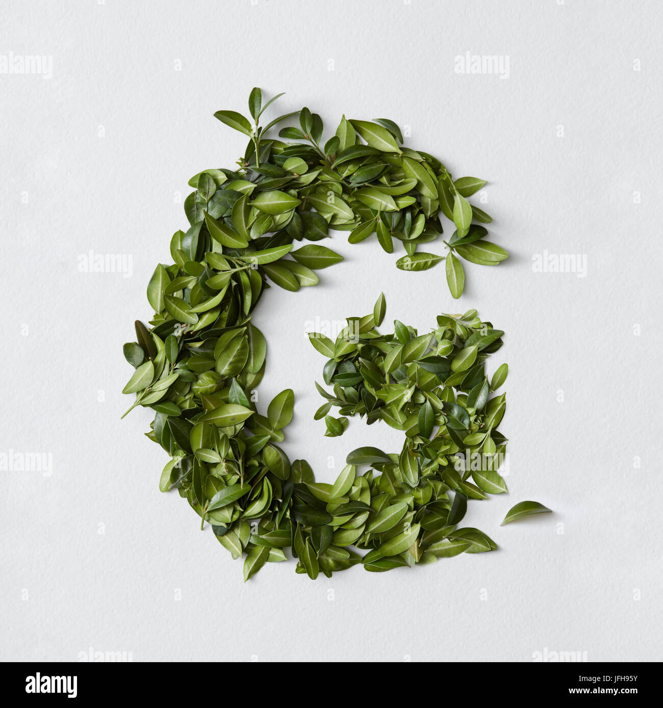 Alphabet letters from leaves Stock Photo - Alamy