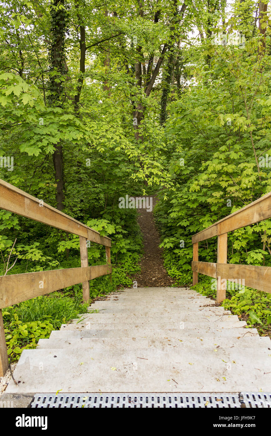 Wooden gate forest path hi-res stock photography and images - Alamy
