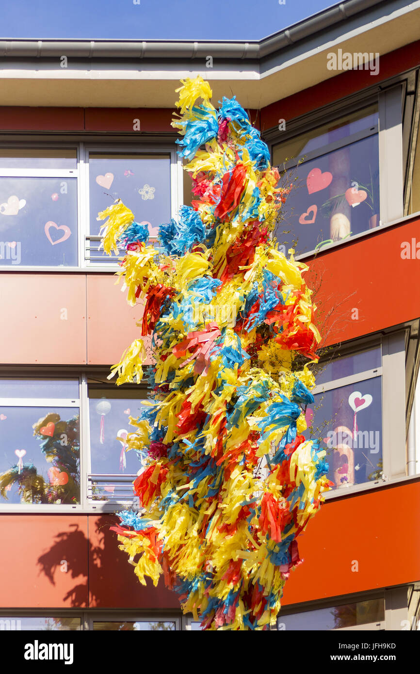 Colorful mai tree in front of a building Stock Photo - Alamy