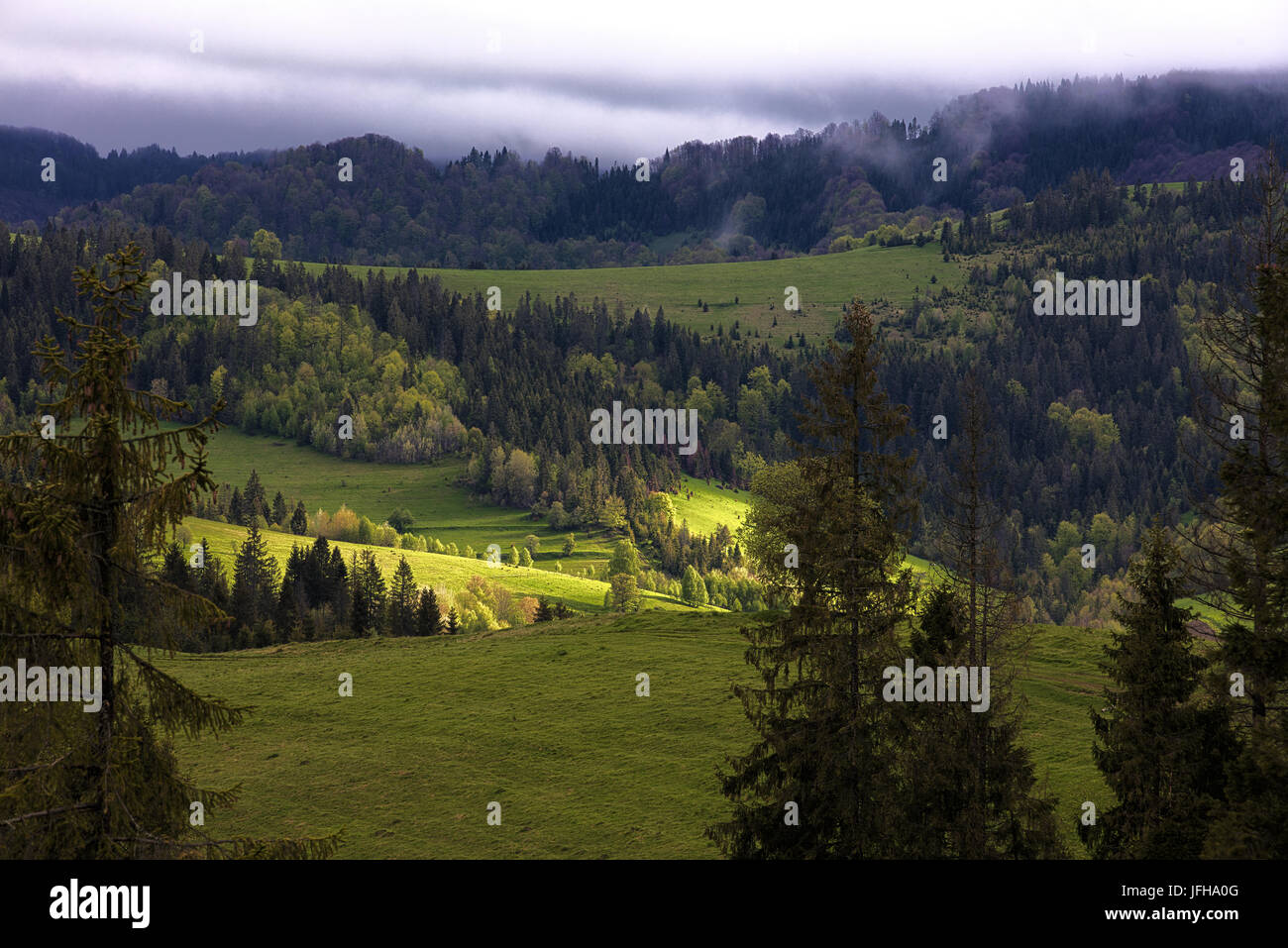 The sunlight makes its way through dense mountain clouds and ...