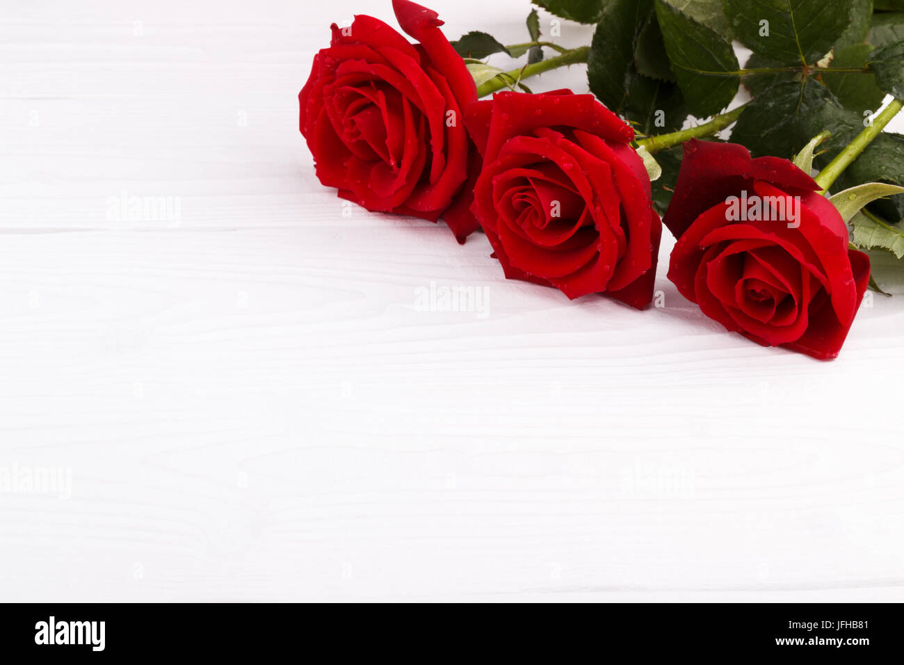 Red roses on white background Stock Photo - Alamy