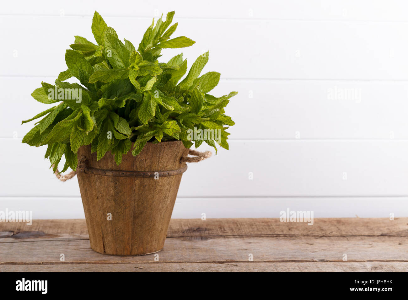 Mint in a bucket Stock Photo - Alamy
