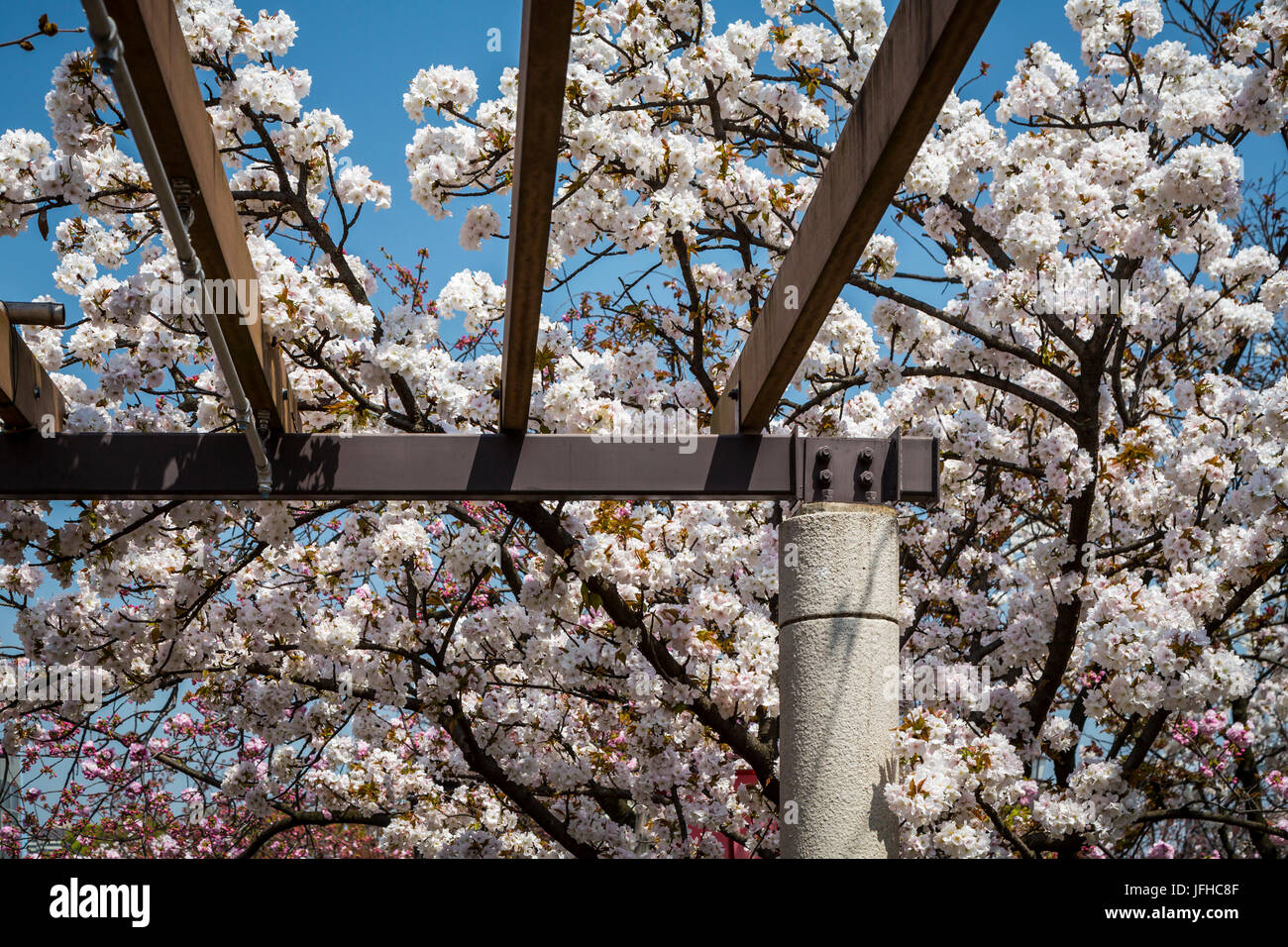 Japanese mint osaka hi-res stock photography and images - Alamy