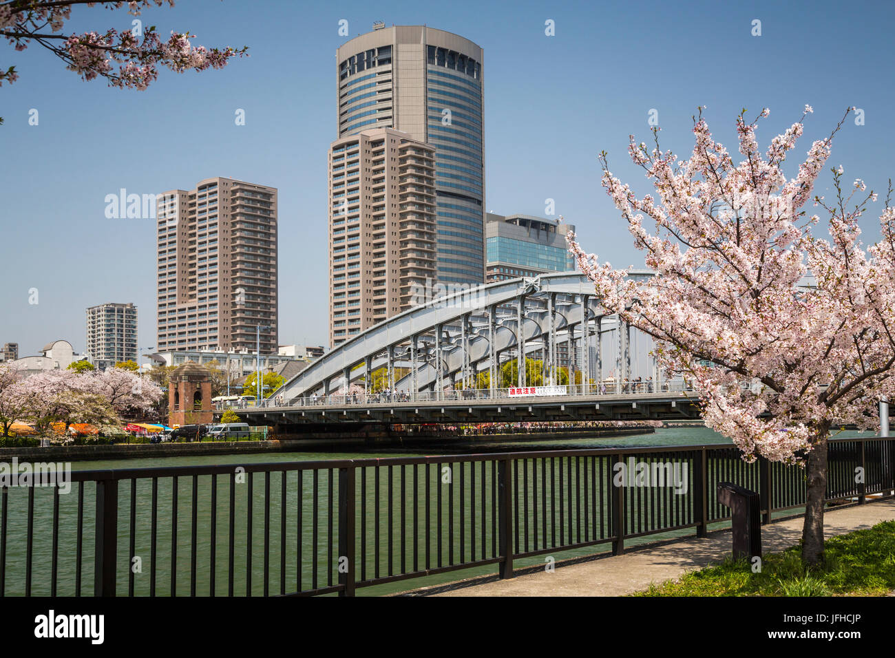 Sakura cherry blossoms at The Mint in Osaka, Japan Stock Photo - Alamy