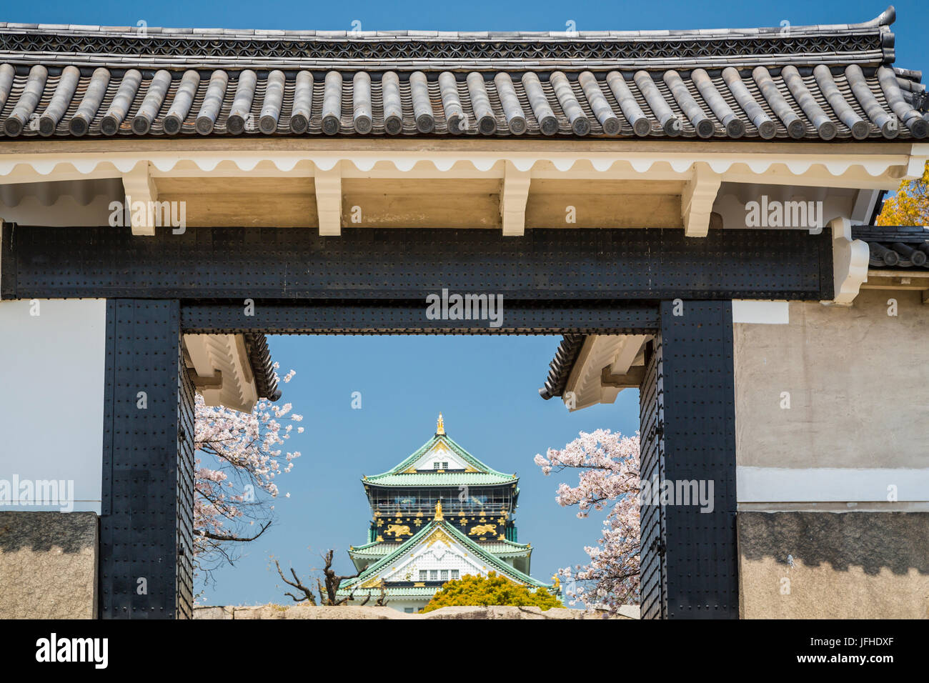 Cherry blossoms trees and the Osaka Castle in Osaka, Japan Stock Photo ...